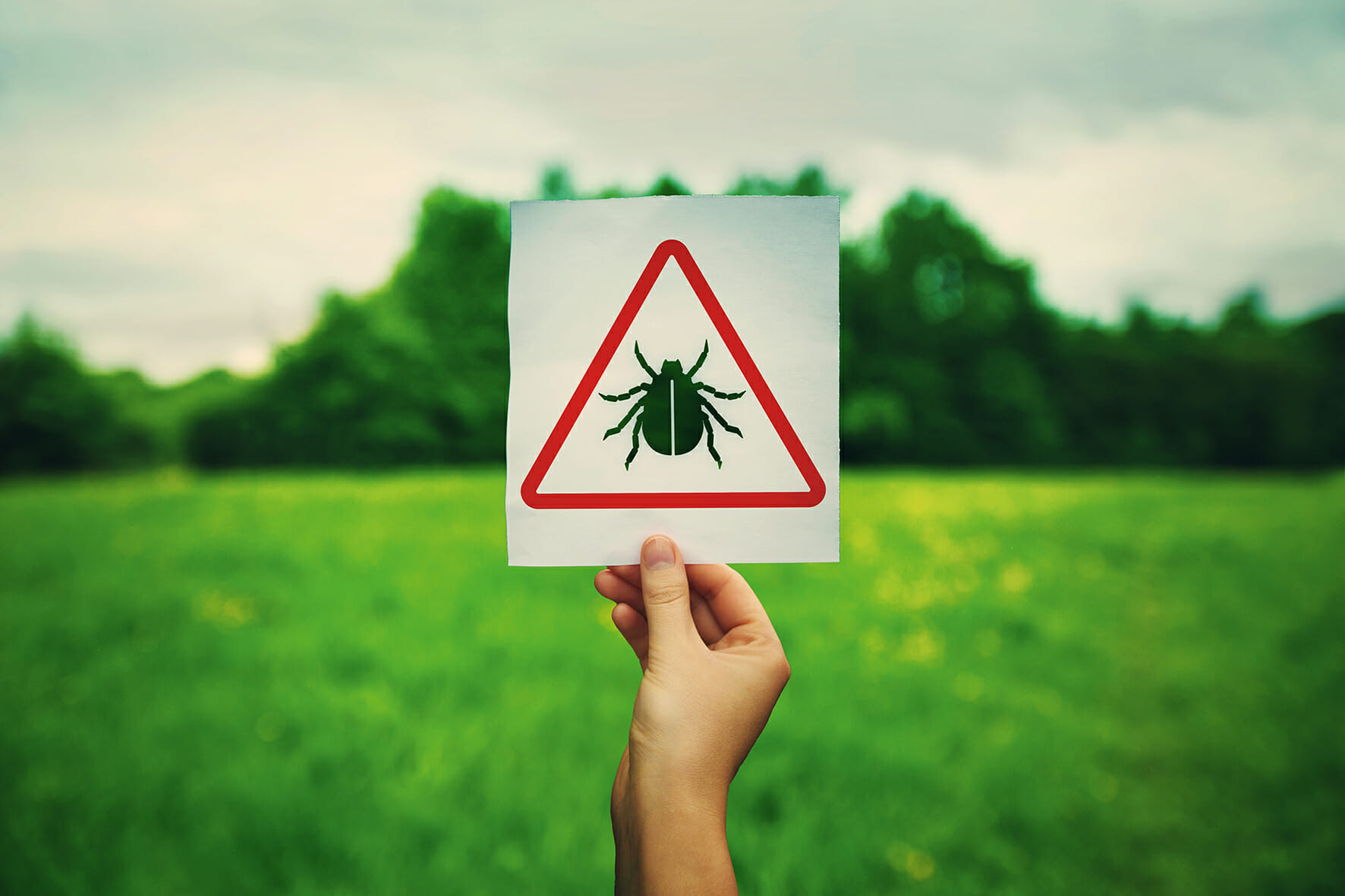 Lyme: ce que vous devez savoir sur les piqûres de tique! – Docdusport